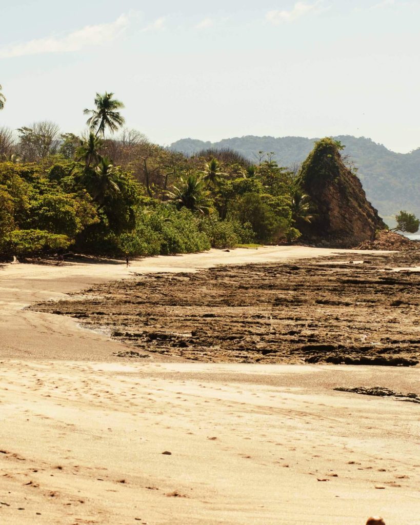 Plan Your Stay in Santa Teresa » Feeling PURA VIDA